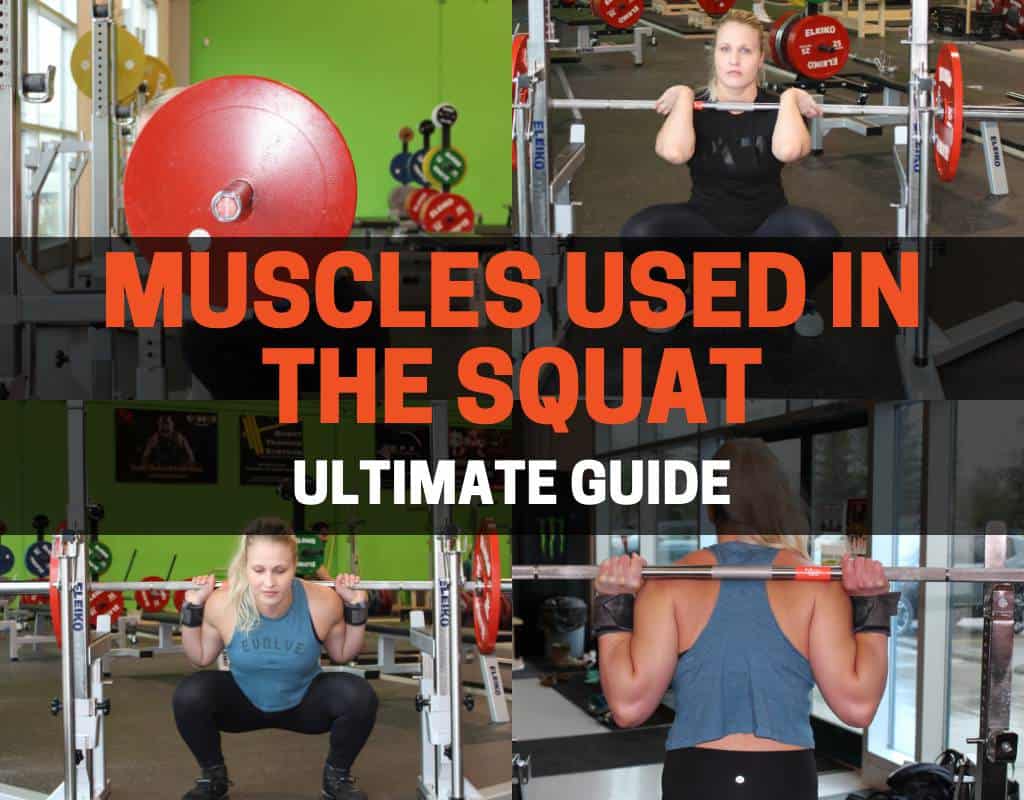 List Of Workouts For Each Muscle Group | EOUA Blog