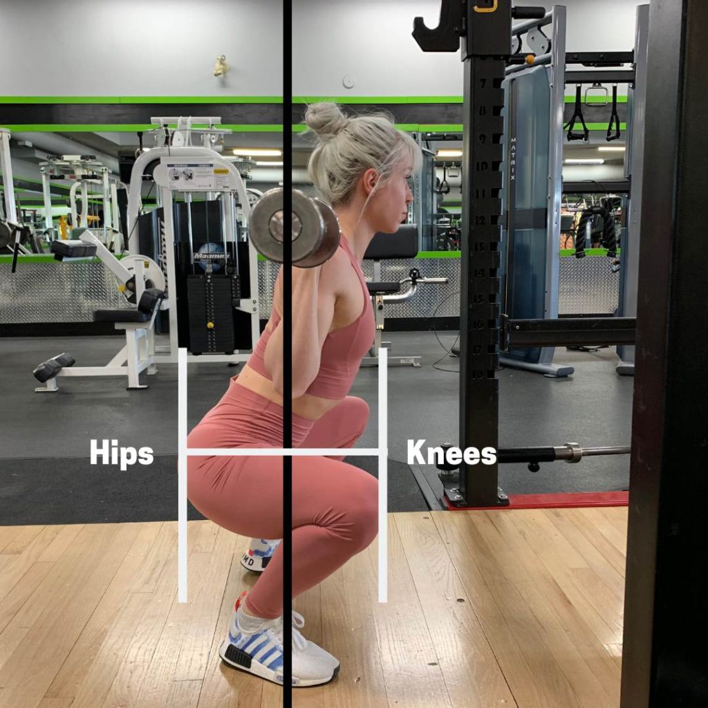Muscles Used In The Squat Complete Guide PowerliftingTechnique Muscles Used In The Squat Complete Guide PowerliftingTechnique