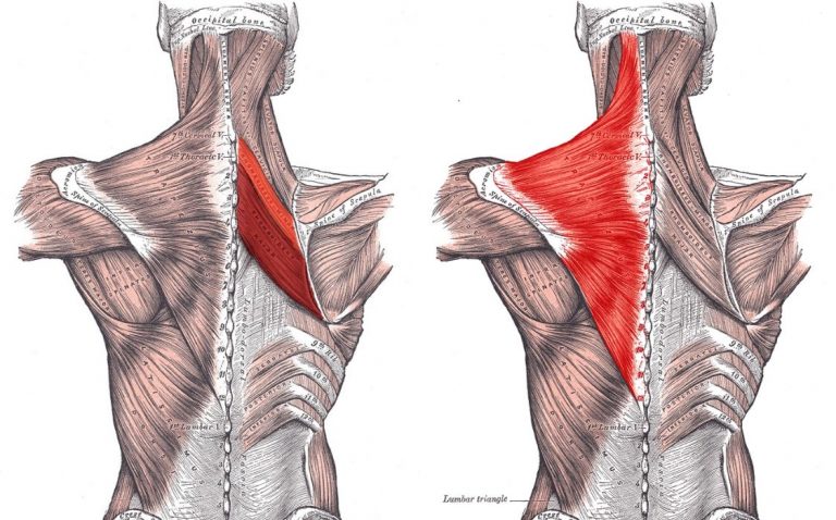 How to Fix Your Uneven Bench Press (5 Solutions ...