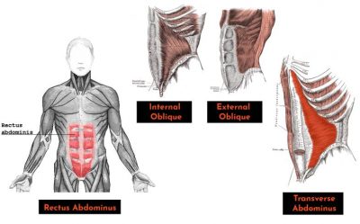 The 9 Best Ab Exercises For Powerlifters (Don't Skip These ...