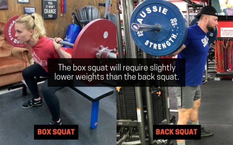 Box Squat vs Back Squat: Differences, Pros, Cons ...