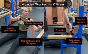 How To Do The Z Press: Increase Your Overhead Press Strength ...