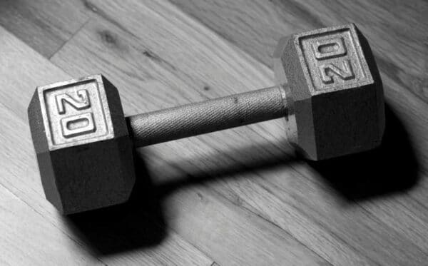 12 Types of Dumbbells Explained (Differences, Pros, Cons ...