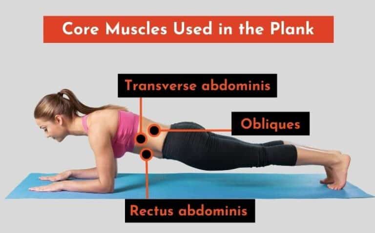 Are Planks Better on Elbows or Hands? (Pros & Cons ...