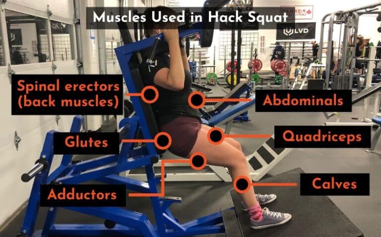 Hack Squat vs Leg Press: Differences, Pros, Cons ...