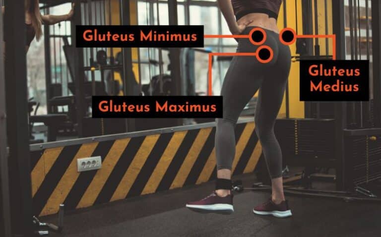 5 Best Gym Machines For Glutes: How To Sculpt Your Booty